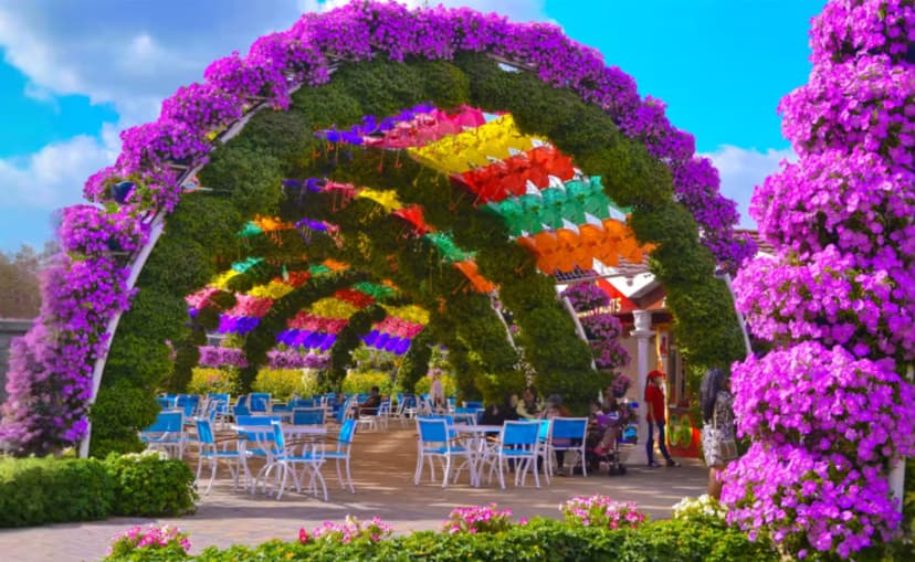 Dubai Miracle Garden Tickets | Virgin Megastore Tickets