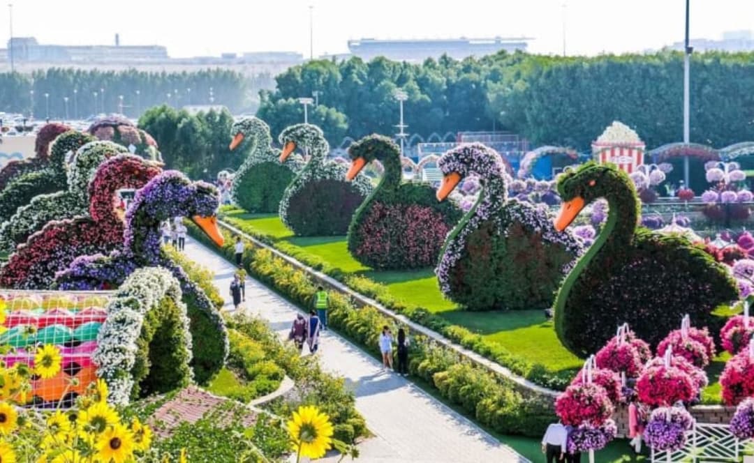 Dubai Miracle Garden Tickets | Virgin Megastore Tickets